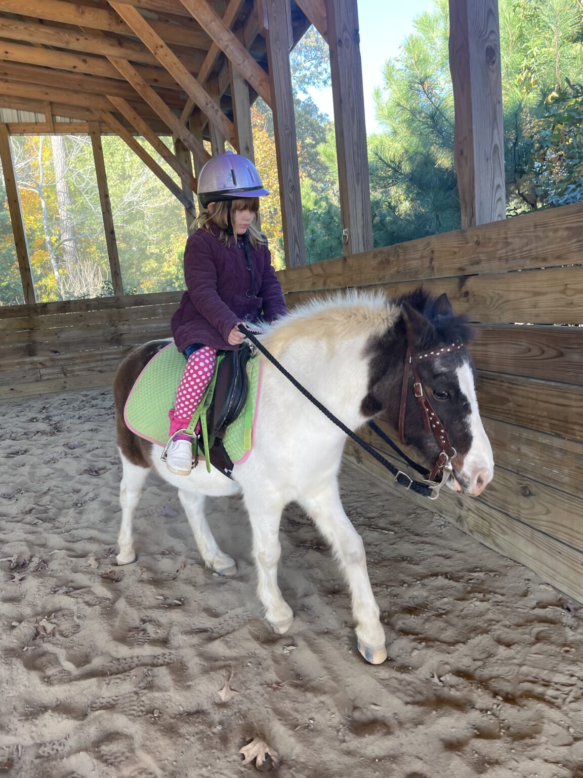 Marsh Stables – Circle M City
